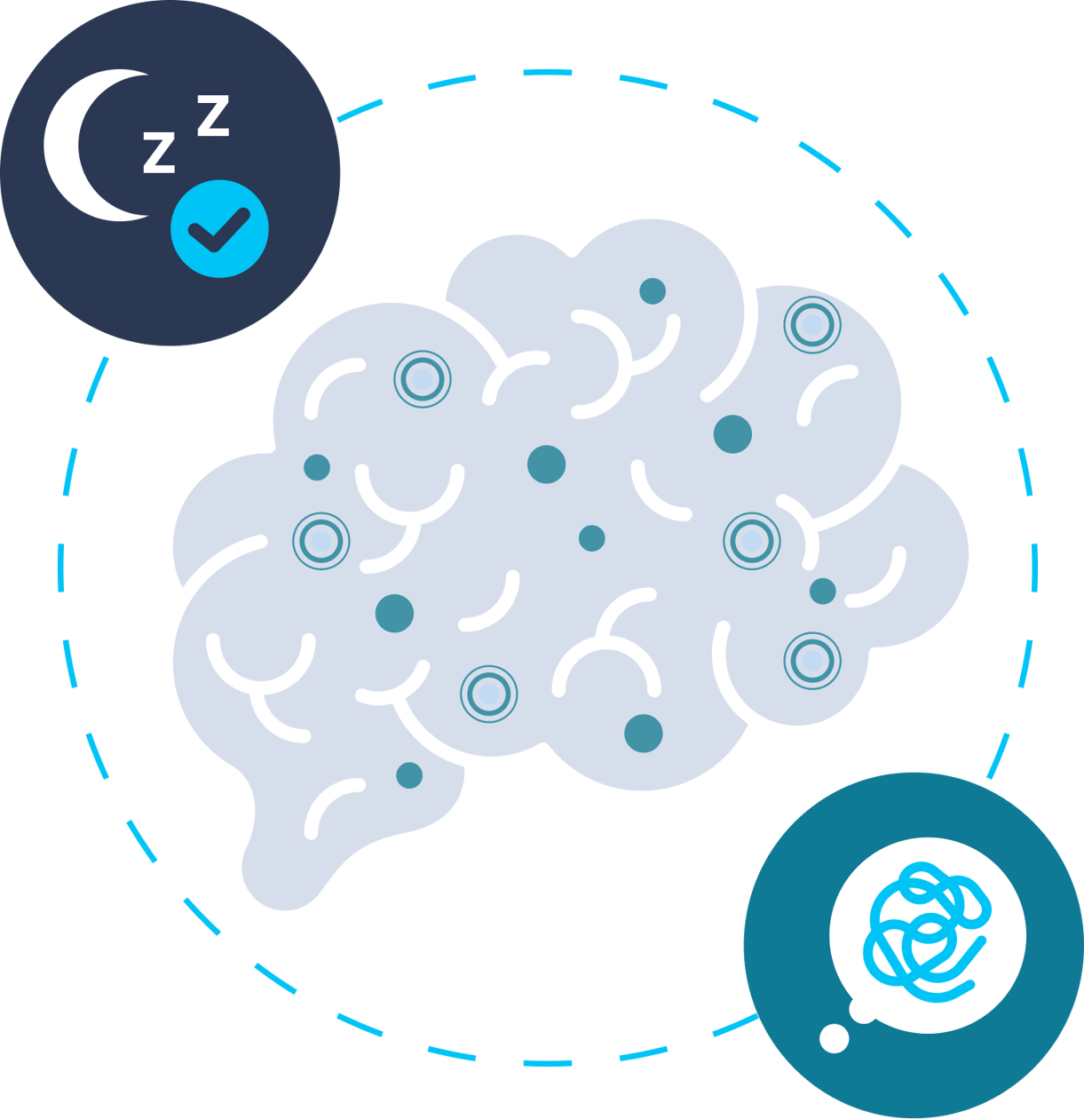 PSQI Questionnaire | Creyos Health